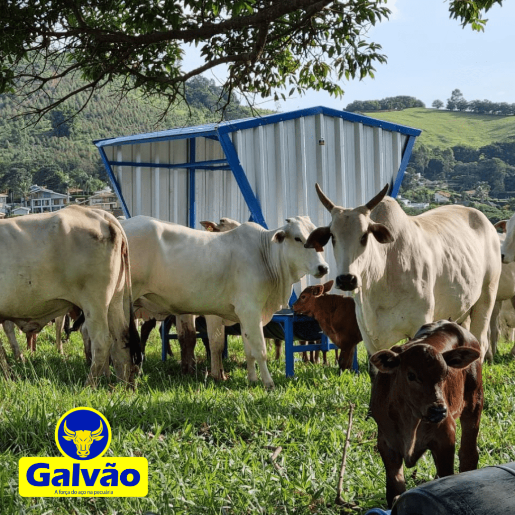 Silococho para Trato Animal | Capacidade Menor 900, 1200 & 1500KG ...