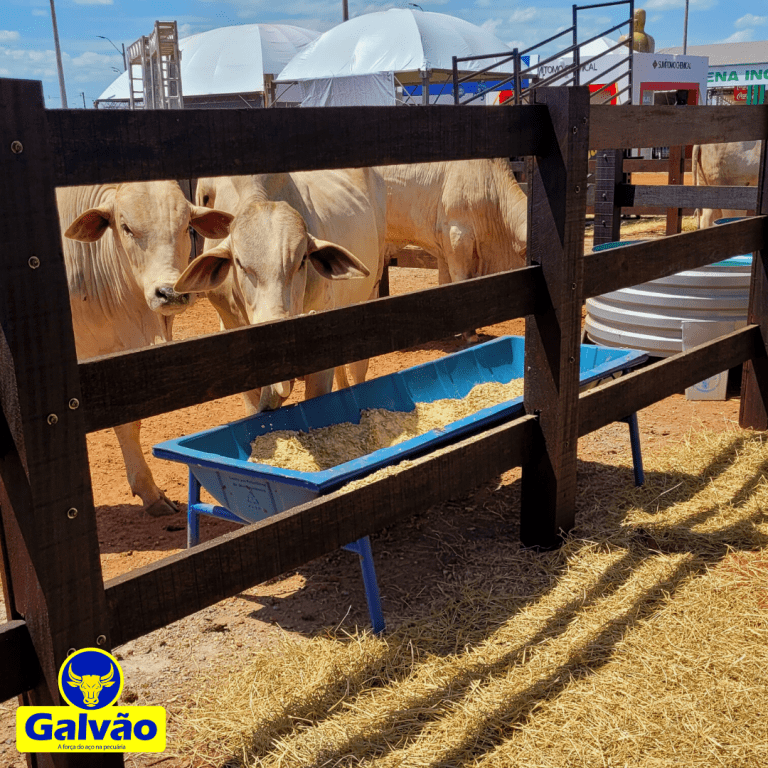 Cocho Plástico Para Trato Animal 210x60cm | GALVÃO – Torneadora Galvão ...