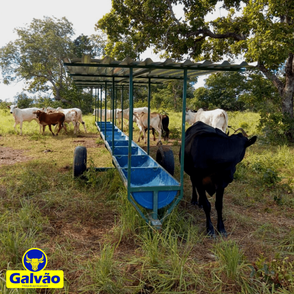 Cocho Móvel Linear Com Telhado de 5 e 10M | GALVÃO – Torneadora Galvão ...